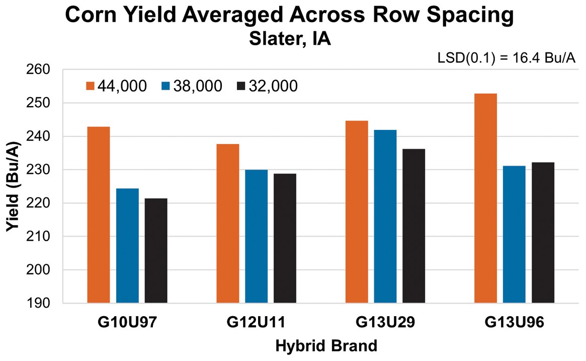 Golden Harvest | Corn Yield Response to Row Spacing and Seeding Rate